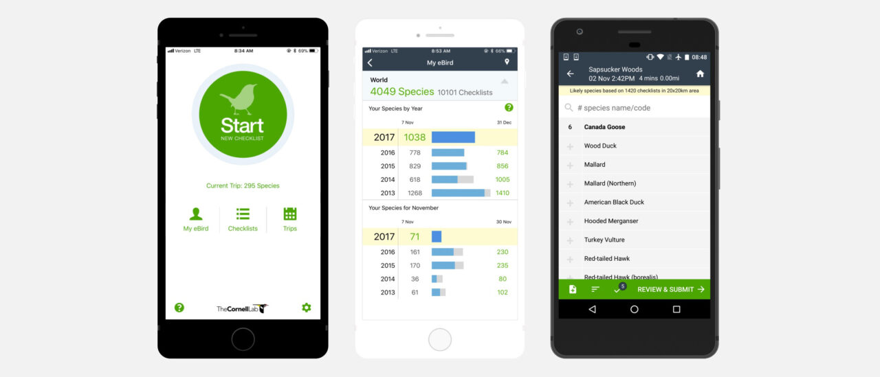 EBird - UVO VENEZUELA